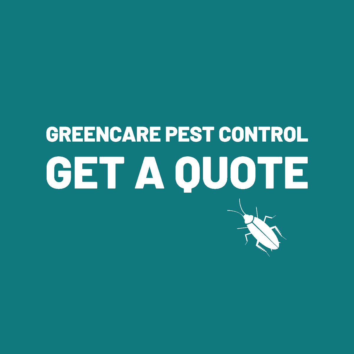 #1 Pest Control in Singapore | Home & Commercial Services | Cheapest ...